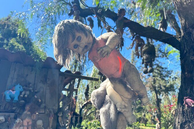 Canals Boat Tour + Doll Island + Ajolote Shrine - Food, Drinks, and Activities