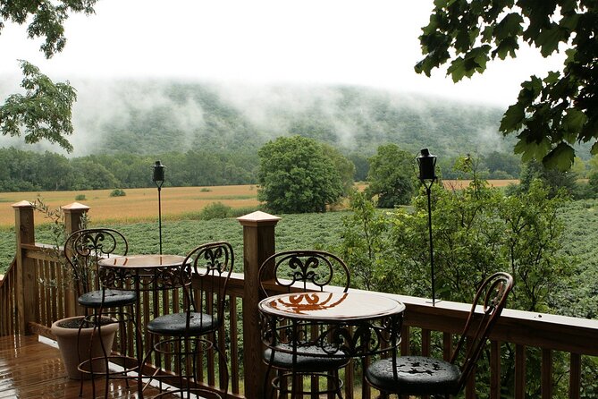 Canandaigua Wine Trail Experience - Scenic Vistas