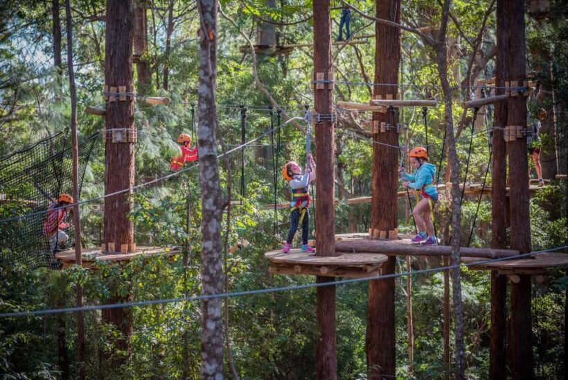 Canberra: Majura Pines Junior Tree Ropes Course - Key Points