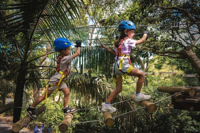 Canberra: Majura Pines Junior Tree Ropes Course - An In-Depth Look at the Experience