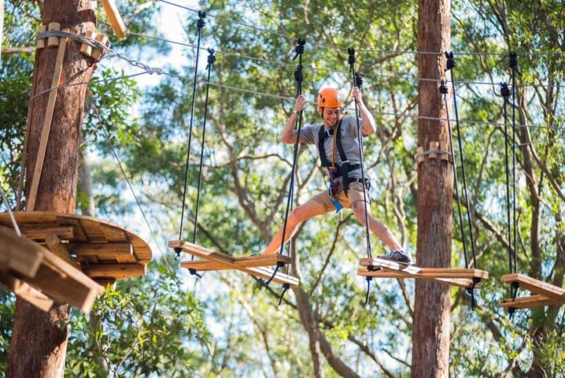 Canberra: Majura Pines Tree Ropes Course - The Challenges and Considerations