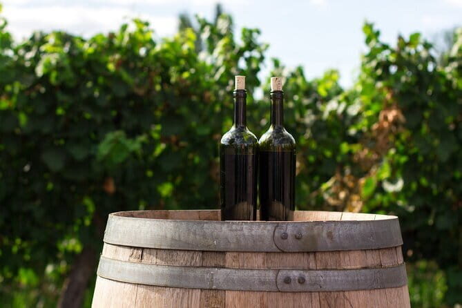 Canberra Wine Tour - What Travelers Say