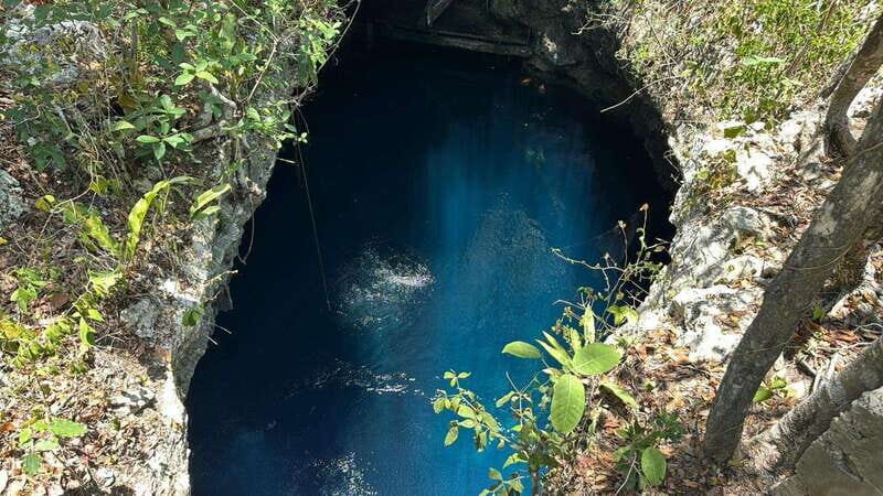 Cancun 2 Cenote Dives: The Pit & Dos Ojos - Certified Divers - Key Points