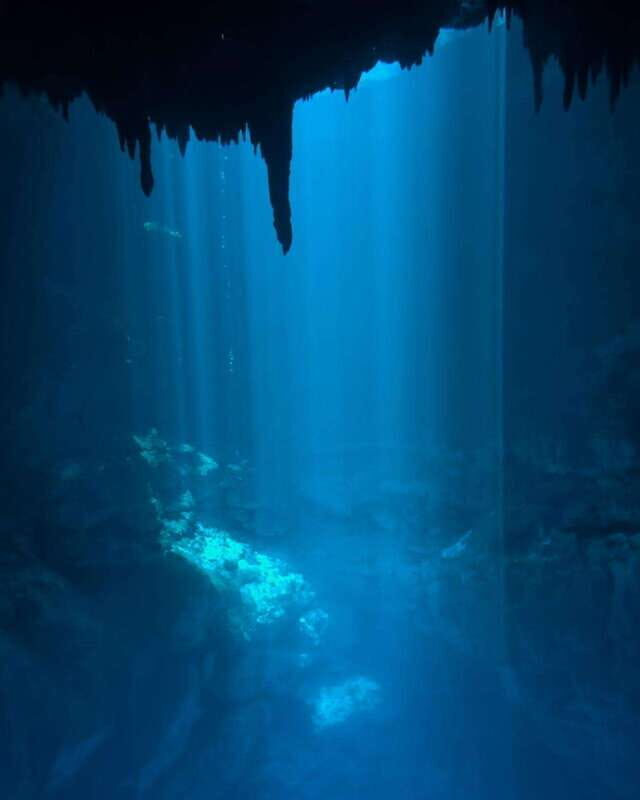 Cancun 2 Cenote Dives: The Pit & Dos Ojos - Certified Divers - A Closer Look at the Experience