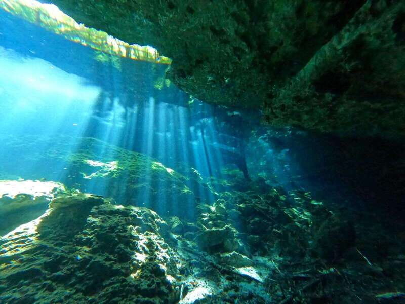 Cancun 2 Cenote Dives: The Pit + Nicte Ha - Certified Divers - An In-Depth Look at the Cenote Experience