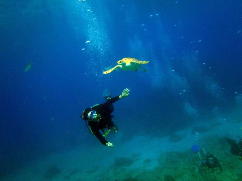 Cancun: 2-Tank Dive for Beginners with MUSA and Reef Dive - The Itinerary and What to Expect