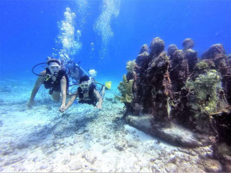 Cancun: 2-Tank Dive for Beginners with MUSA and Reef Dive - The Experience Provider and Group Dynamics