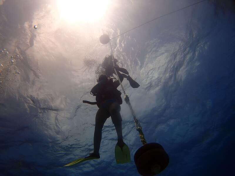 Cancun: 2-Tank Dive for Beginners with MUSA and Reef Dive - FAQs