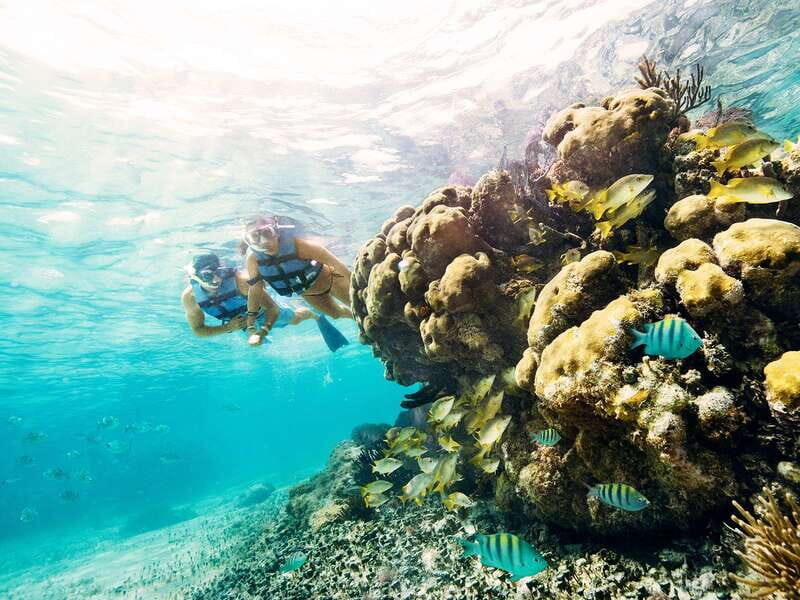 Cancun: 2Hour Speedboat Experience - Practical Details and Tips