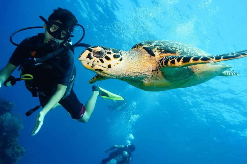 CANCUN: 2T REEF DIVES FOR CERTIFIED DIVERS - The Practicalities
