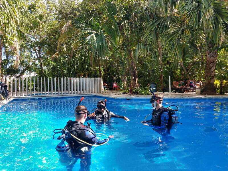 Cancun: 3 Days SDI Open Water Diver Certification - The Dive Sites and Underwater Environment