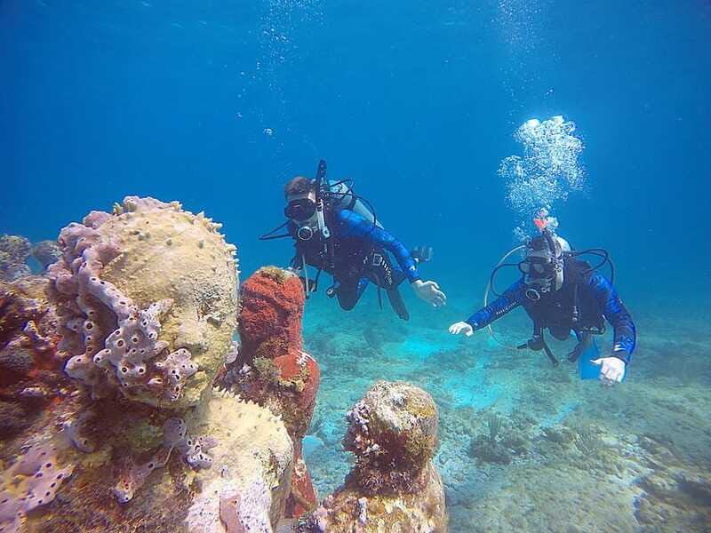 Cancun: 3 Days SDI Open Water Diver Certification - Practical Details and Logistics