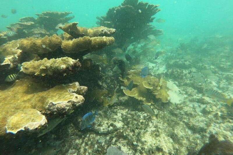 Cancun: 3 Islands Snorkel Adventure - The Sum Up
