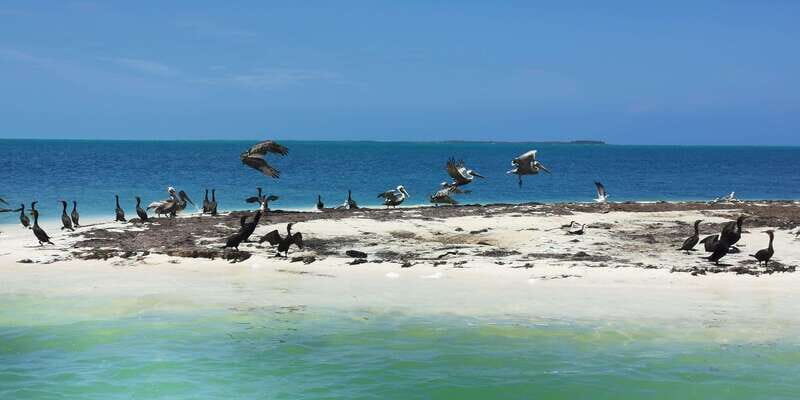 Cancun: 3 Islands Snorkel Adventure - Frequently Asked Questions