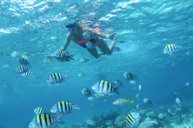Cancun 4 hour Private Yacht Experience with Lunch and Open Bar Onboard - Final Thoughts