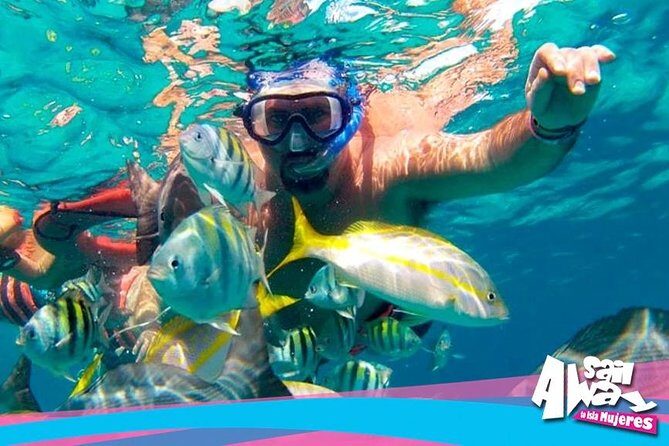 Cancun Adults Only Party Cruise to Isla Mujeres with Open Bar - The Itinerary in Detail: What to Expect