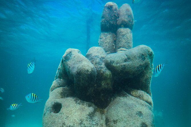 Cancun Adventure: Reef Snorkeling & Parasailing Experience - A Closer Look at the Tour