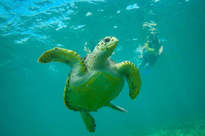 Cancun Adventure: Reef Snorkeling & Parasailing Experience - Final Thoughts