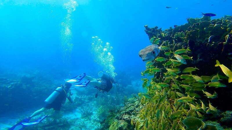 Cancun: All included Diving Lesson (2 Tanks) - The Logistics: Organizing Your Day