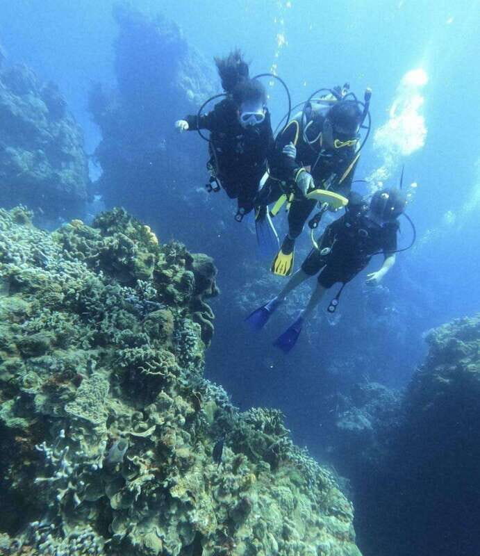Cancun: Angelfish Discovery Package - Key Points