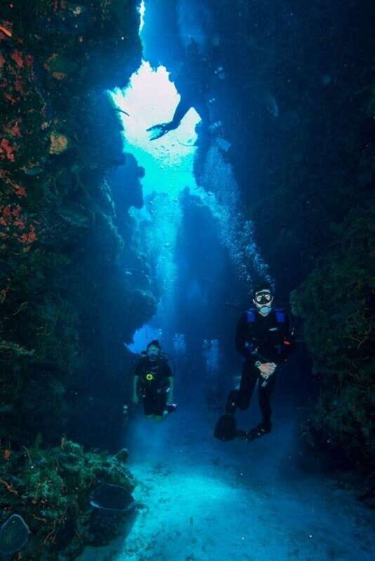 Cancun: Angelfish Discovery Package - An Introduction to the Cancun Underwater Experience
