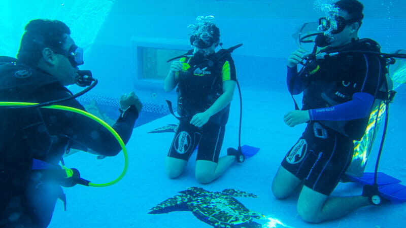 Cancun: Aquaworld Scuba Diving School - Who Should Consider This Tour?
