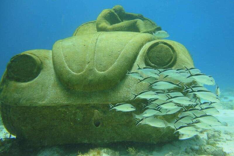 Cancun: Beginner Scuba Diving at Underwater Museum - Whats Included and Whats Not