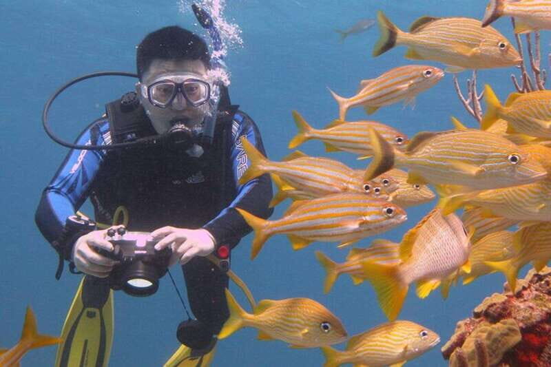 Cancun: Beginner Scuba Diving at Underwater Museum - FAQ: Your Practical Questions Answered