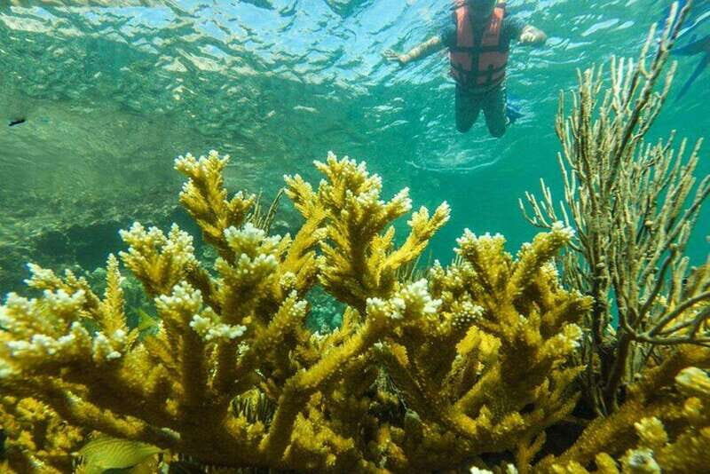 Cancun: Cancun Cenote Tour & Snorkeling - Final Thoughts: Is It Worth It?