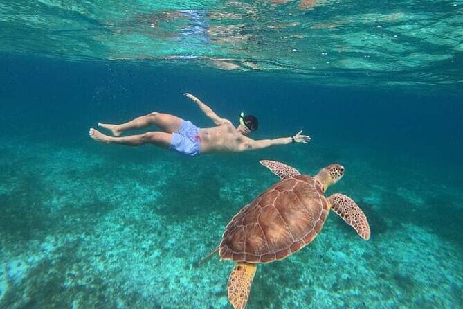 Cancun Catamaran: Sail to Isla Mujeres + Buffet & Drinks - Setting Off: What to Expect at Playa Tortugas Marina