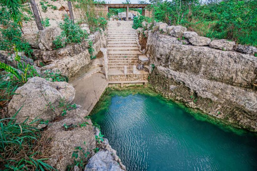 Cancun: Cenotes El Retoño entrance with transportation, lunch, and guided tour. - An Honest Look at the Experience