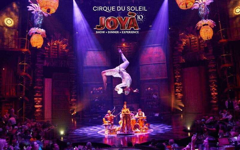 Cancún: Cirque du Soleil JOYÀ Entry Ticket and Transfer - What to Expect from Cirque du Soleil JOYÀ in Cancún