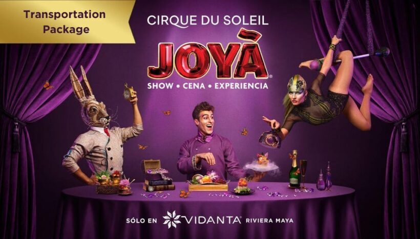 Cancún: Cirque du Soleil JOYÀ Entry Ticket and Transfer - Who Should Consider This Tour?
