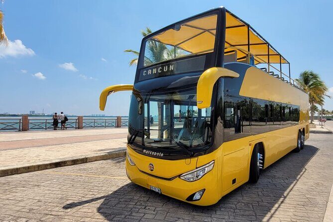 Cancun City Sightseeing and Shopping Tour on a Double Decker bus - An In-Depth Look at the Cancun City Tour