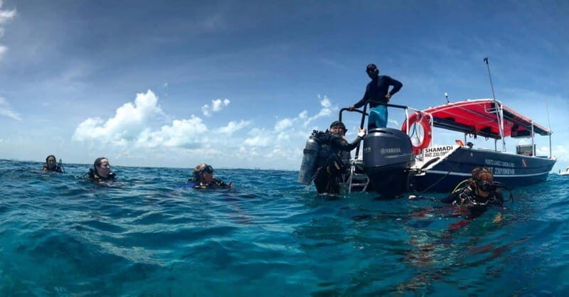 Cancun: Cozumel Diving for Beginners - Analyzing the Value