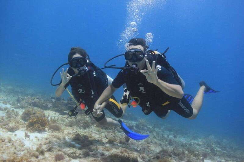 Cancun: Dive Underwater Museum & Manchones Reef - The Sum Up