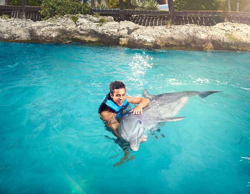 Cancún: Dolphin Encounter on Isla Mujeres with Buffet - An In-Depth Look at the Experience