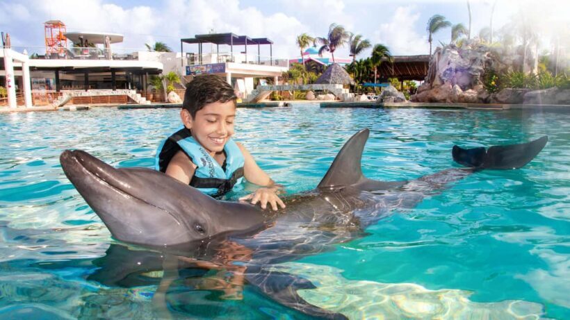 CANCUN: Dolphin Swim Adventure with buffet and soft drinks - Key Points