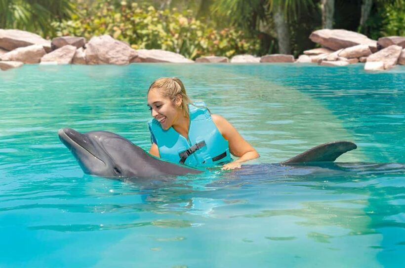 CANCUN: Dolphin Swim Adventure with buffet and soft drinks - Final Thoughts: Is It Worth It?
