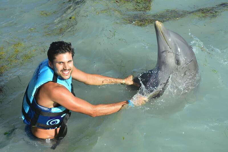 Cancun: Dolphin Swim and Garrafon Reef Park Tour with Buffet - A Closer Look at the Tour Itinerary