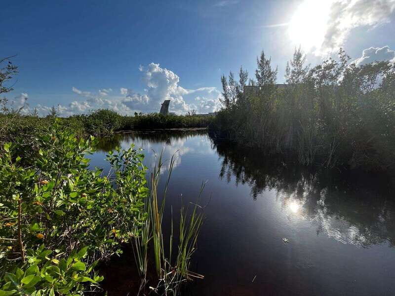 Cancun Downtown Evening Walking Tour - Who Should Consider This Tour?