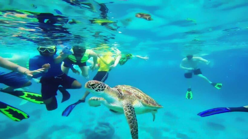 Cancun: Explore Tulum, swim with turtles, cenote, and snorkel in caves - The Sum Up