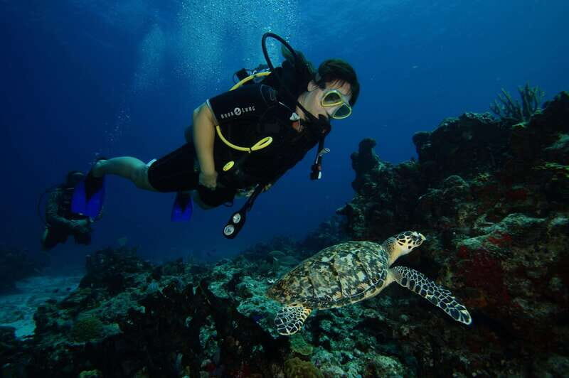 CANCUN: FIRST TIME DIVERS CANCUN - An Overview of the Experience