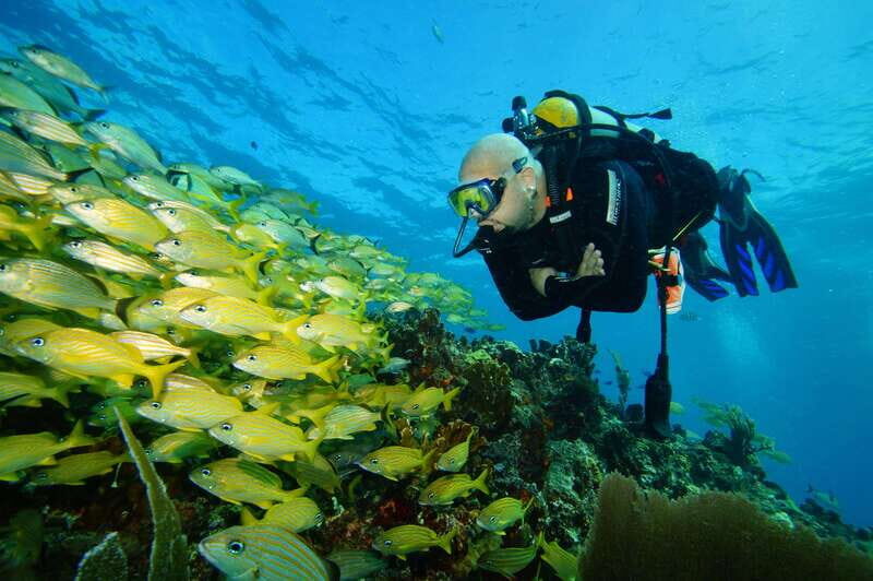 CANCUN: FIRST TIME DIVERS CANCUN - Manchones Reef: A Vibrant Underwater Playground