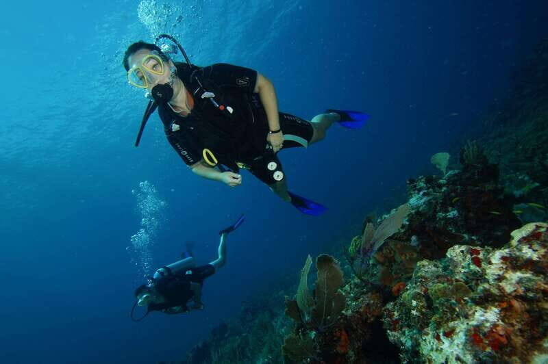 CANCUN: FIRST TIME DIVERS CANCUN - Guided Support and Equipment