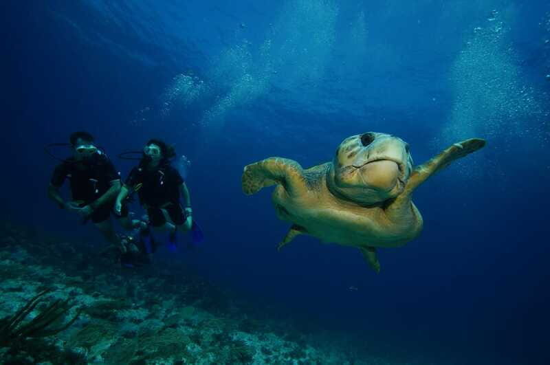 CANCUN: FIRST TIME DIVERS CANCUN - Accessibility and Restrictions