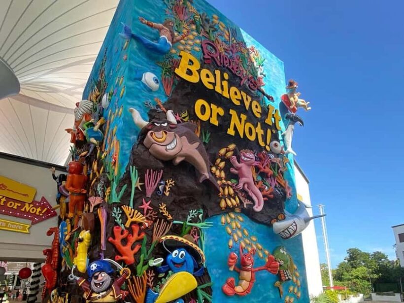 Cancun Guided Sightseeing SkyWheel, Letters and Shopping - México Mágico: Colorful Culture and Tastes