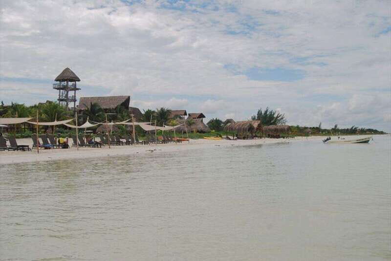 Cancun: Holbox Island Birdwatching and Wildlife Adventure - An Overview of the Tour Experience