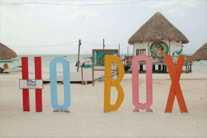 Cancun: Holbox Island Birdwatching and Wildlife Adventure - Seaside Lunch with a View