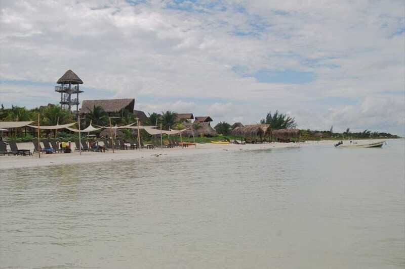 Cancun: Holbox Island Birdwatching and Wildlife Adventure - What’s Included and What’s Not